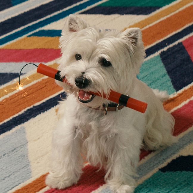 SO GOOD | FRED & FARID